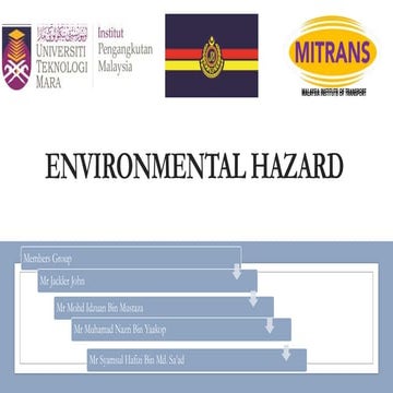 ENVIRONMENTAL HAZARD | PPT