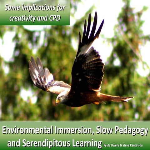Environmental immersion, slow pedagogy & serendipitous learning | PPT
