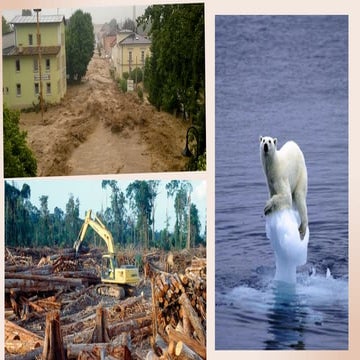 Environmental Issue.pdf