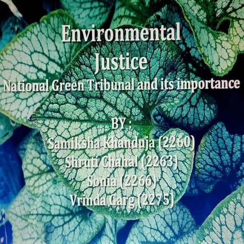 Environmental justice | PPTX