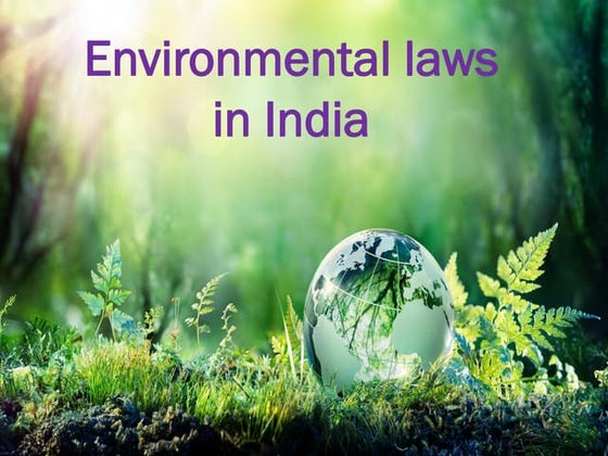 Constitutional Provisions on Environmental Laws.pdf