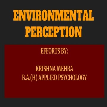 Environmental Perception | PPTX