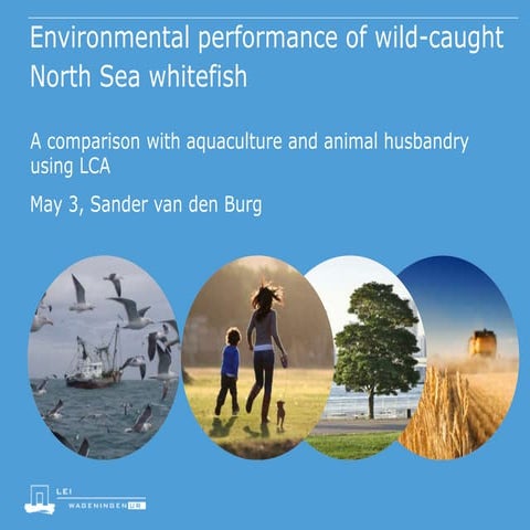 Environmental performance of wild caught north sea whitefish | PPT