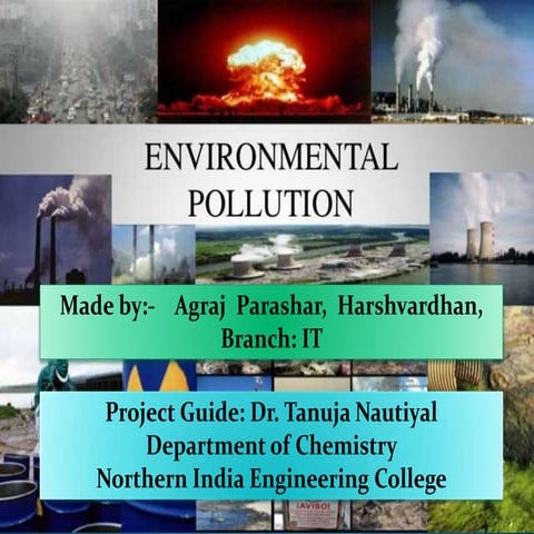 Environmental pollution | PPTX