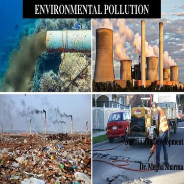 ENVIRONMENTAL POLLUTION (1).pdf