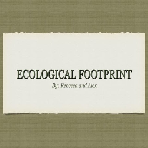 My Ecological Footprint | PDF