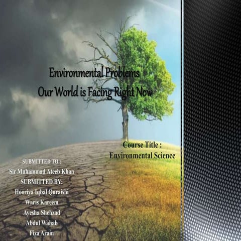 Environmental Problems.pptx