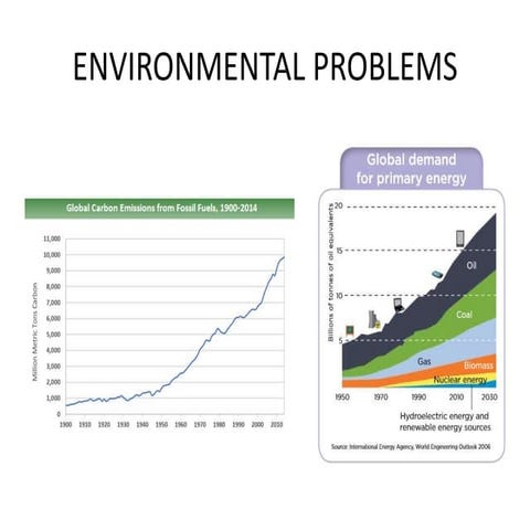 Environmental Problems Presentation.pptx