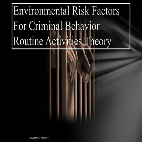 Environmental risk factors for criminal behavior 7 | PDF