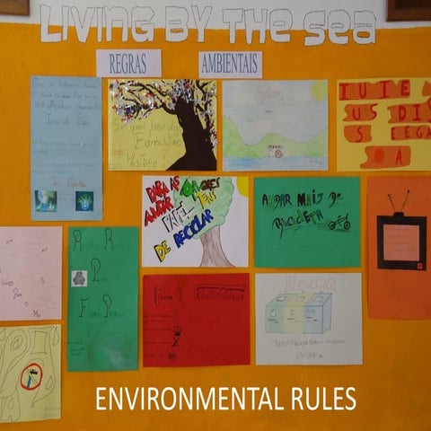 Environmental rules | PPT