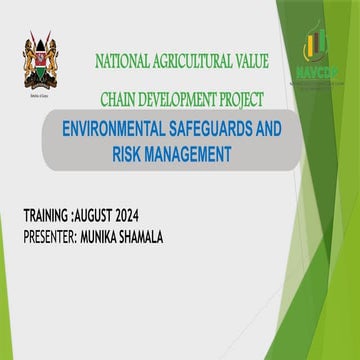 ENVIRONMENTAL SAFEGUARDS (ESS) PRESENTATION_072331-1.pptx