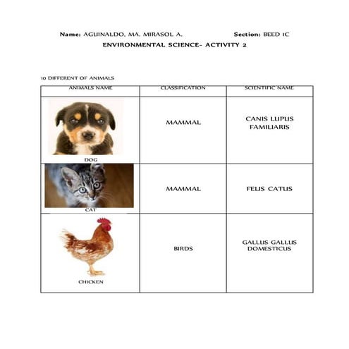 ENVIRONMENTAL SCIENCE ACTIVITY 2.docx | Dogs | Pets
