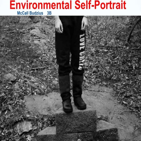 Environmental self portrait | PPTX