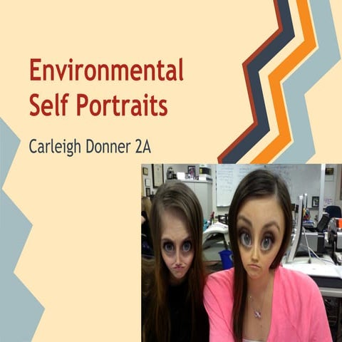 Environmentalselfportrait | PPT