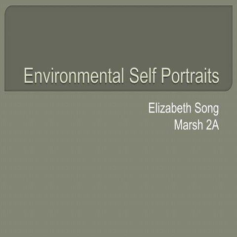 Environmental self portraits | PPT