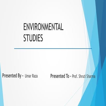 Environmental studies (deforestation) | PPTX