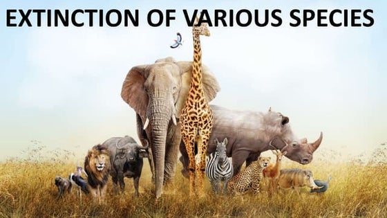 Science Grade 9 species extinction lesson | PPTX