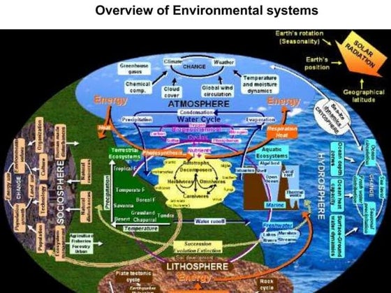 Environment and its components | PPTX | Environment | Science