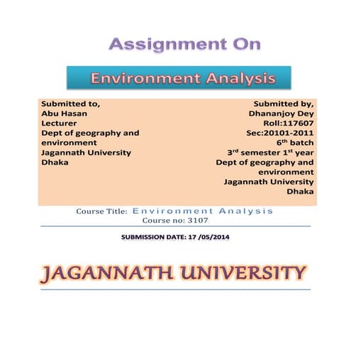 Environment analysis | DOCX