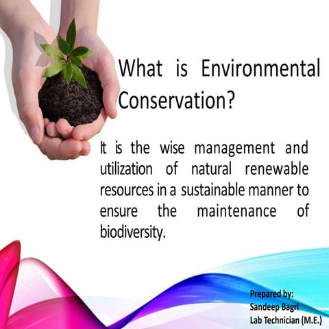 Environment Conservation | PPTX
