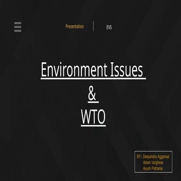 ENVIRONMENT ISSUES AND WTO MAIN PPT.pptx