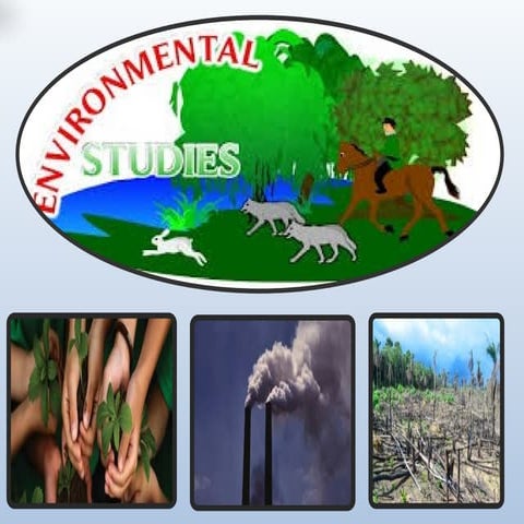 talking about the world and the environment lessons.pptx