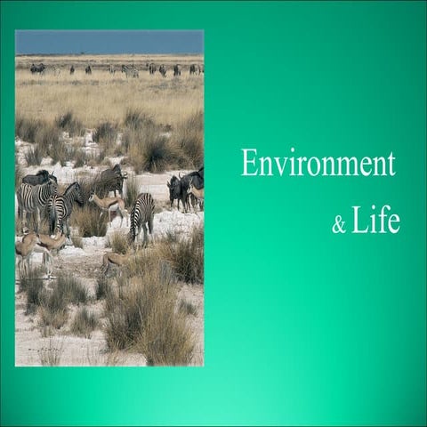 Environment & life | PPT | Environmental Services Industry | Industries