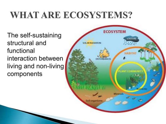 UNIT 5: ECOSYSTEMS | PPTX