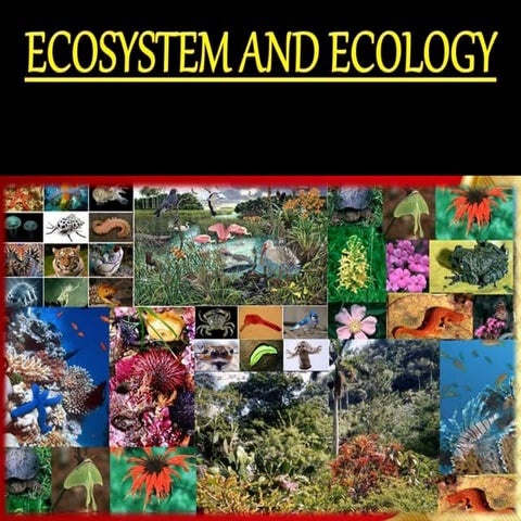 Ecosystem and Ecology | PPTX