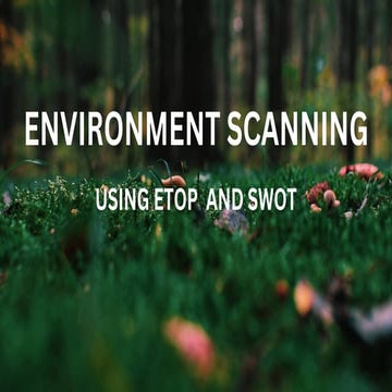 ENVIRONMENT SCANNING.pdf | Automotive Industry | Industries