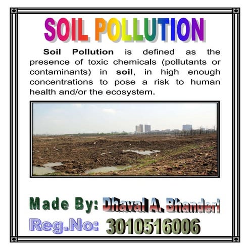Soil Pollution | PDF