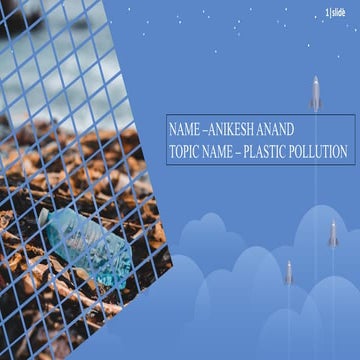 Envs project - Plastic Pollution | PDF