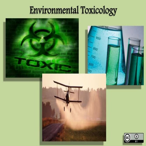 Environmental Toxicology | PPTX