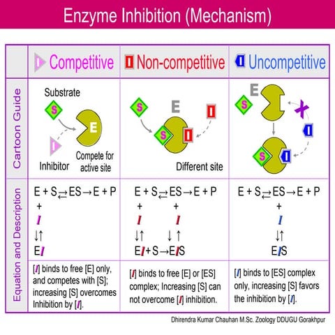 Enzyme inhibition mechanism | PPT