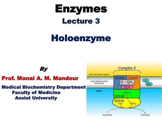 Definitions and types of coenzymes | PPTX | Chemistry | Science