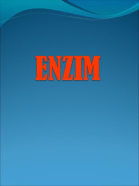 Enzim Enzim Enzim Enzim Enzim Enzim Enzim Enzim.ppt