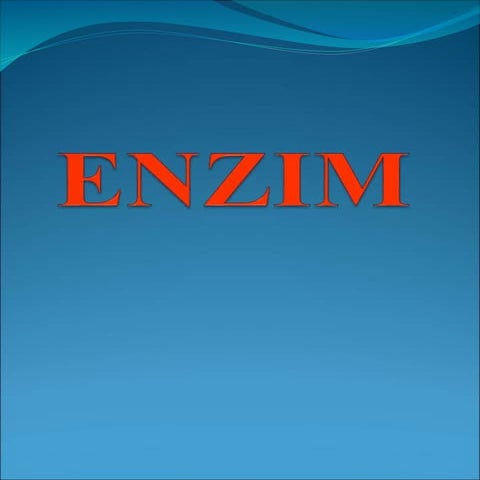 Daftar Enzim yang Terdapat di dalam Tubuh Manusia dan Fungsinya | DOCX