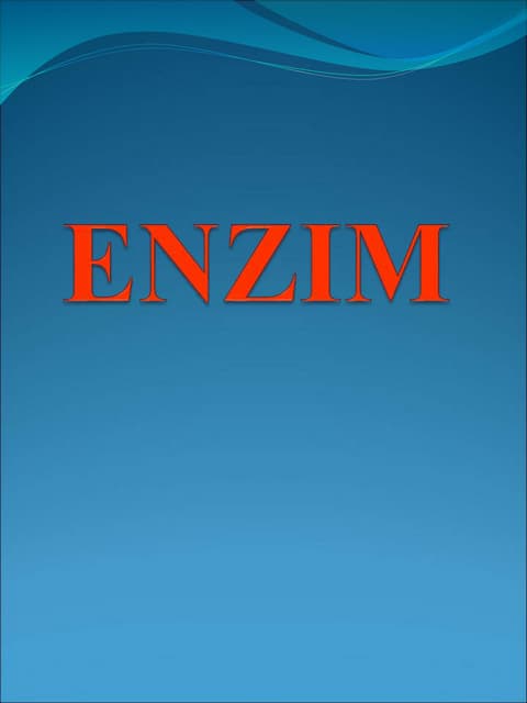 Enzim Enzim Enzim Enzim Enzim Enzim Enzim Enzim.ppt