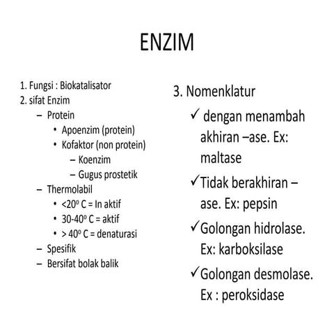 Enzim | PPT