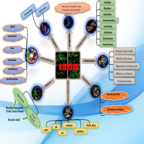 Mind Map Tentang Enzim | PDF