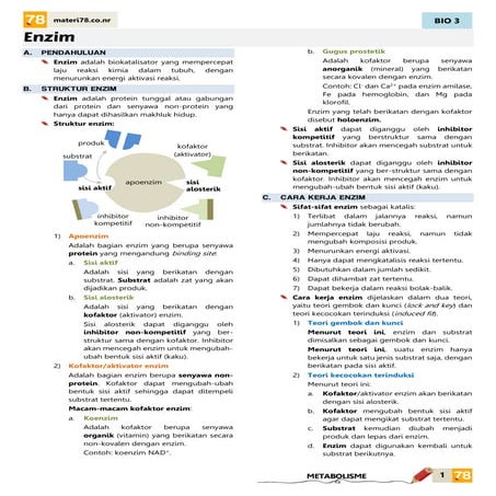 Enzim | PDF