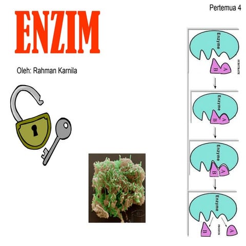 PPT kuliah tentang enzim mmmmmmmmmmmmmmmmmmm | PPT