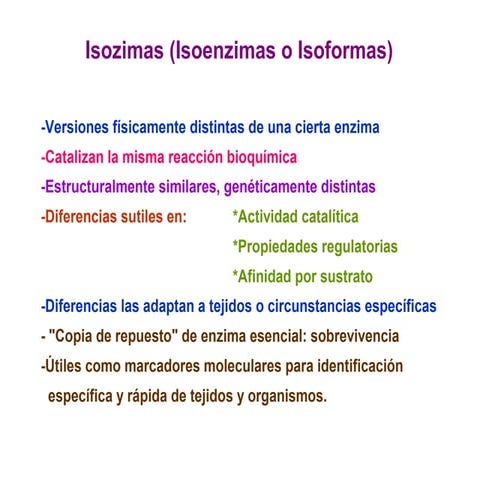 Enzimas 4 | PPT