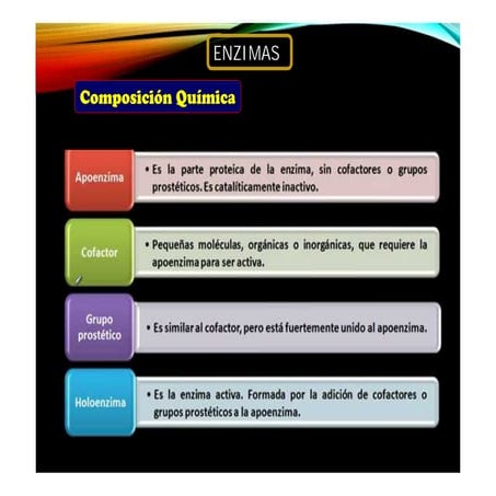 enzimas,acidos nucleicos.mmmmmmmmmmmmmmm | PDF