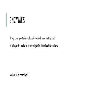 Metabolism and enzymes ppt questions chap8 | DOCX