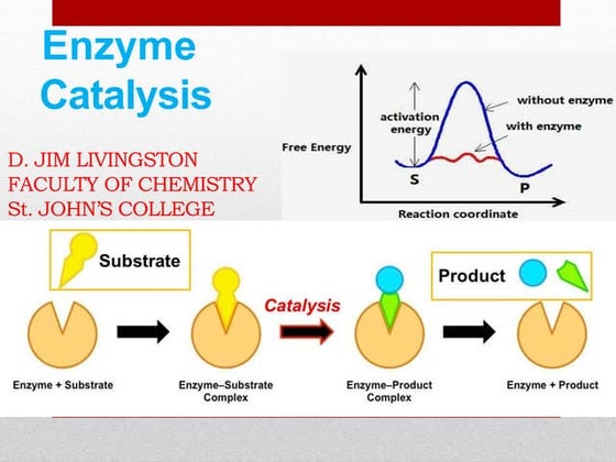 Wilkinson's catalyst | PPT