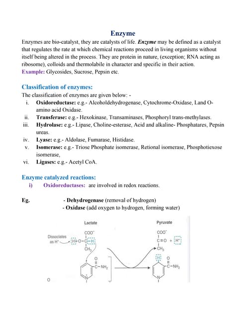Enzyme catalysis mechanisms involved | PPTX | Chemistry | Science
