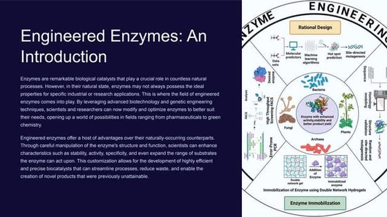 4 . Brief introduction to protein engineering.pptx