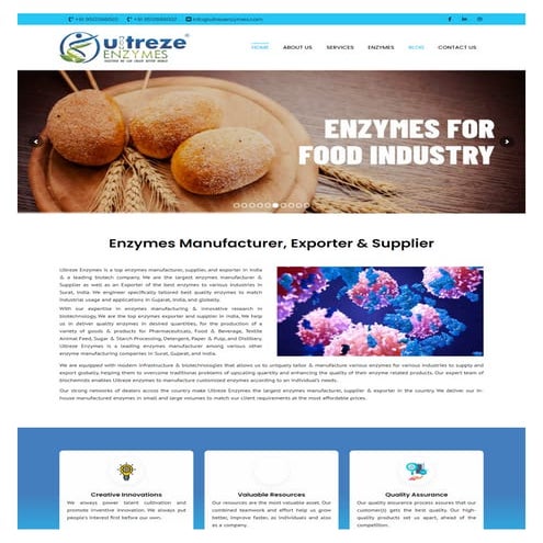 Top Enzymes in the Pharma Industry and Their Key Roles Explained | PDF