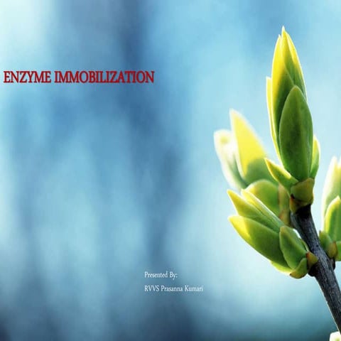 Enzyme immobilization | PPT